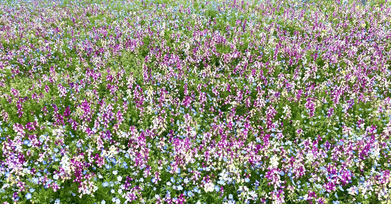 意味をつけるという意味②～”無意味”の意味～｜Ryosuke Matsusima