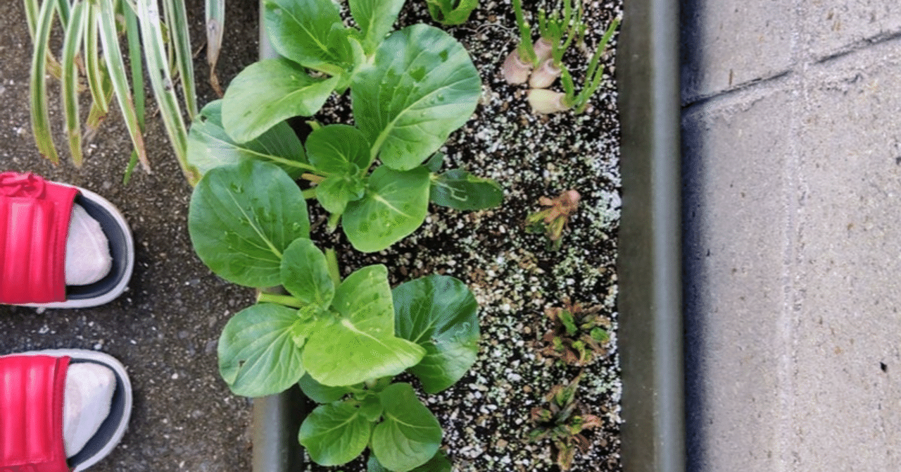 構成要素は？｜Masa｜note