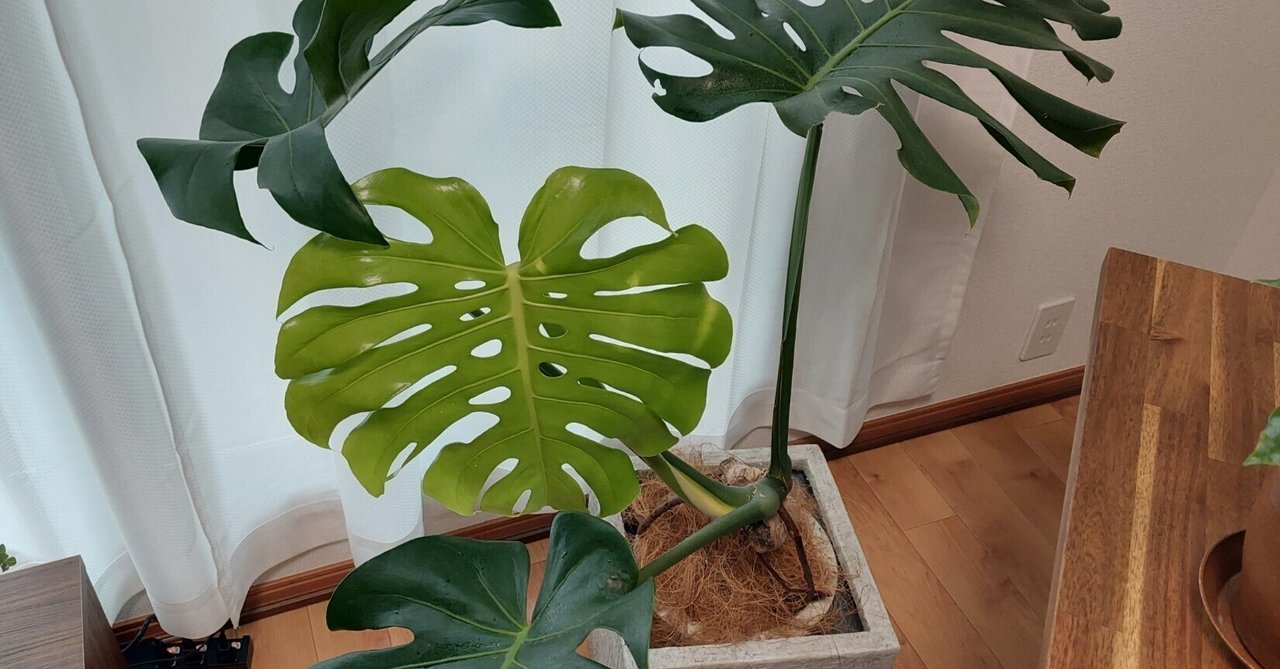 20230418｜zunn｜note