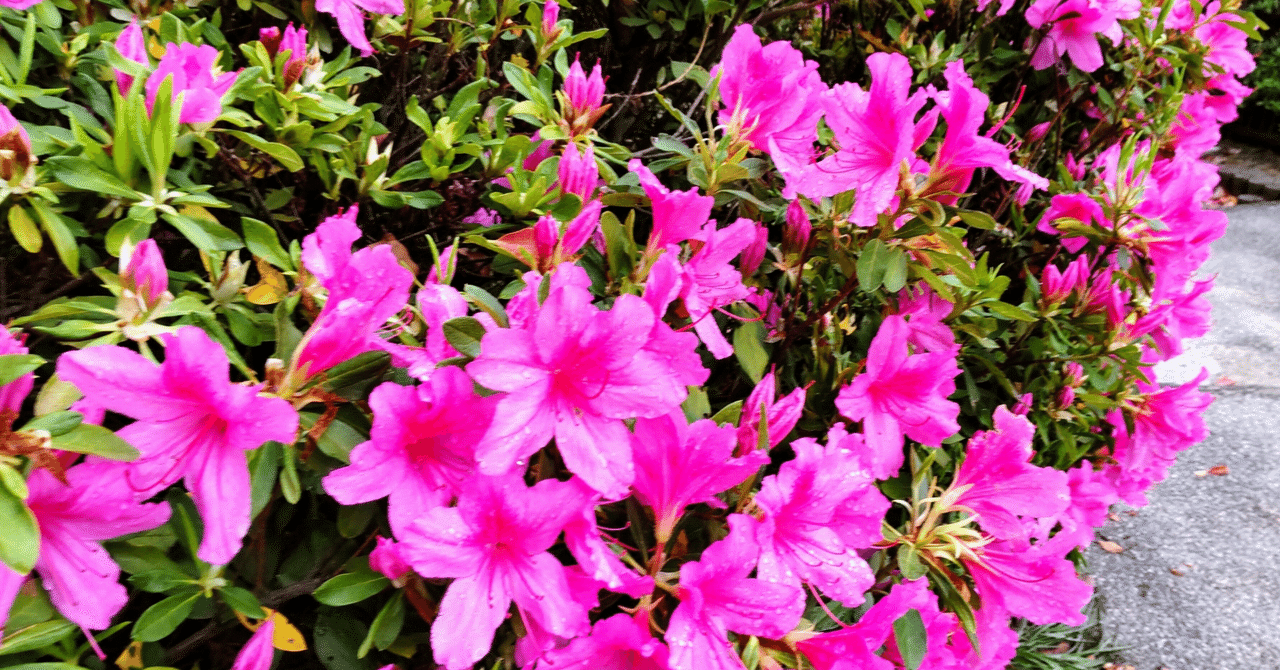 MX Linux hdd install｜blue06_2022｜note