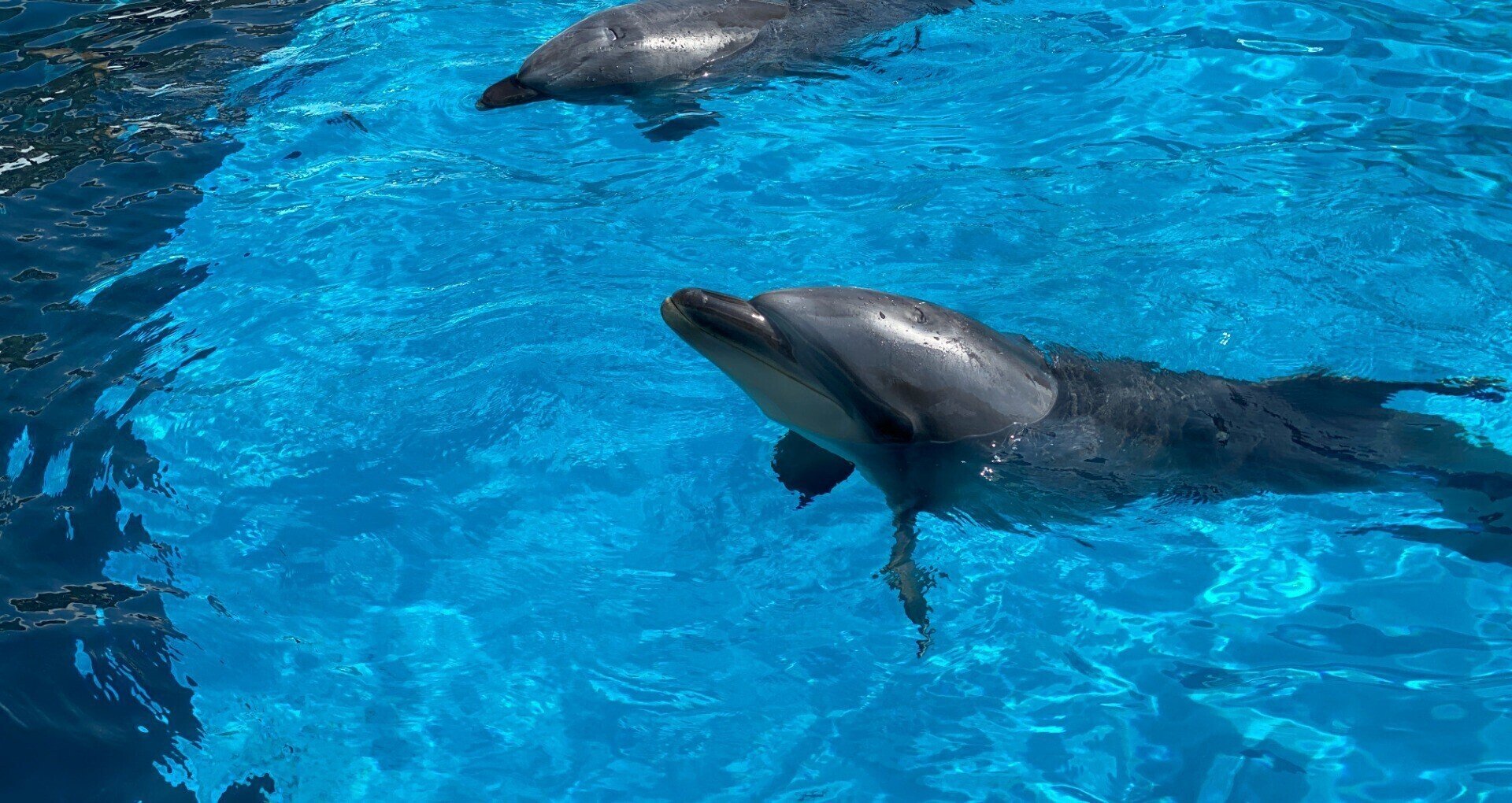 Mitsuru Hamada｜note