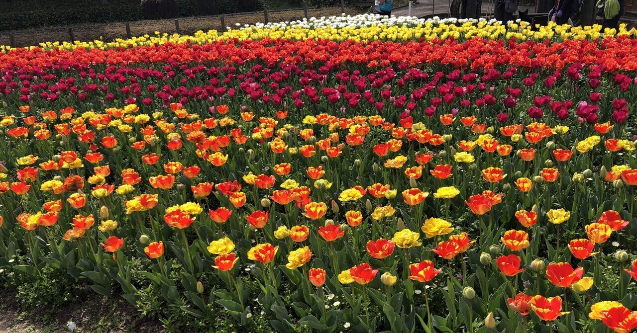 魂の望み？｜ユメカ（Yumeka.yy）