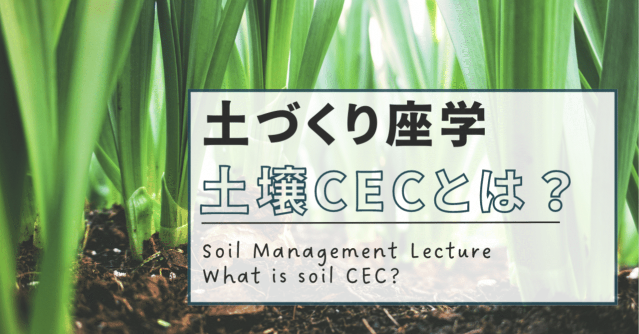 【土づくり講座】土壌のCECとは？｜土いじりチャンネル