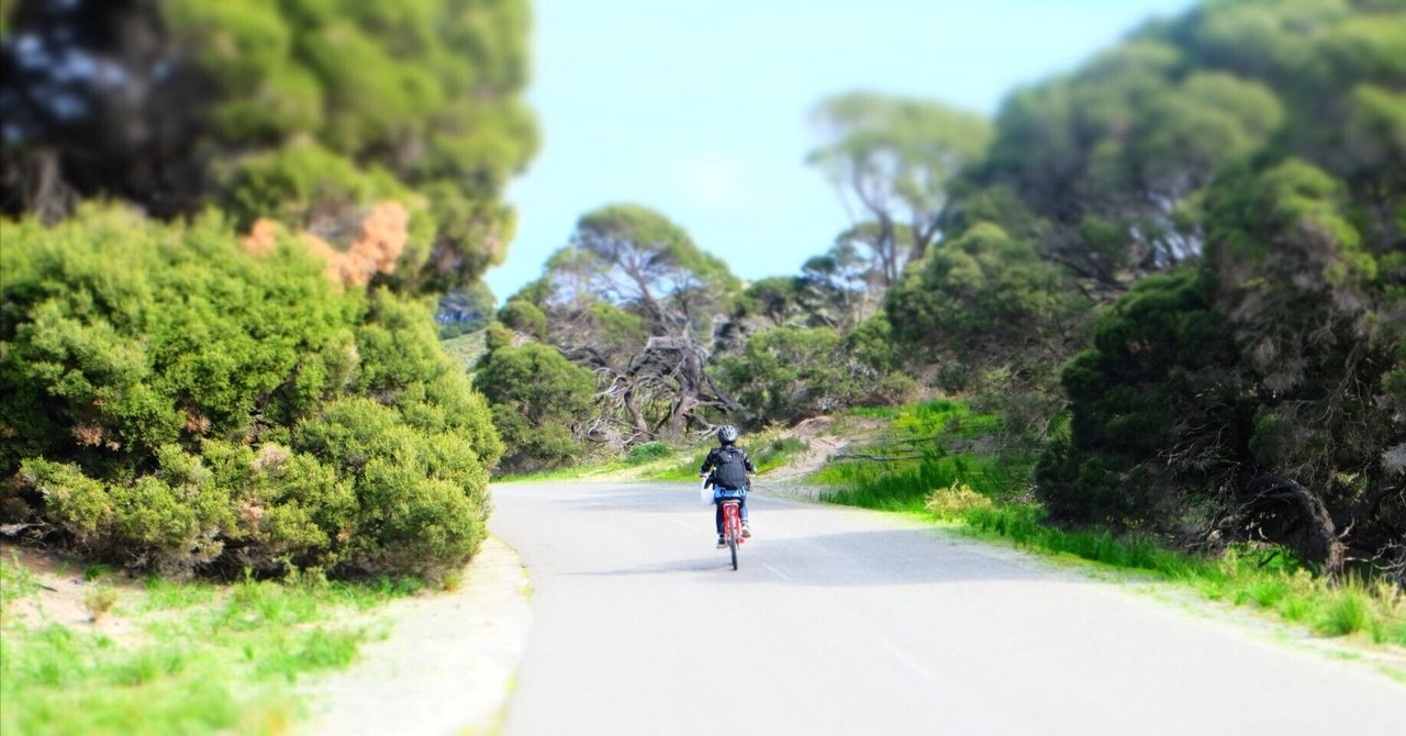 #ロットネスト島｜kaolu_carol｜note