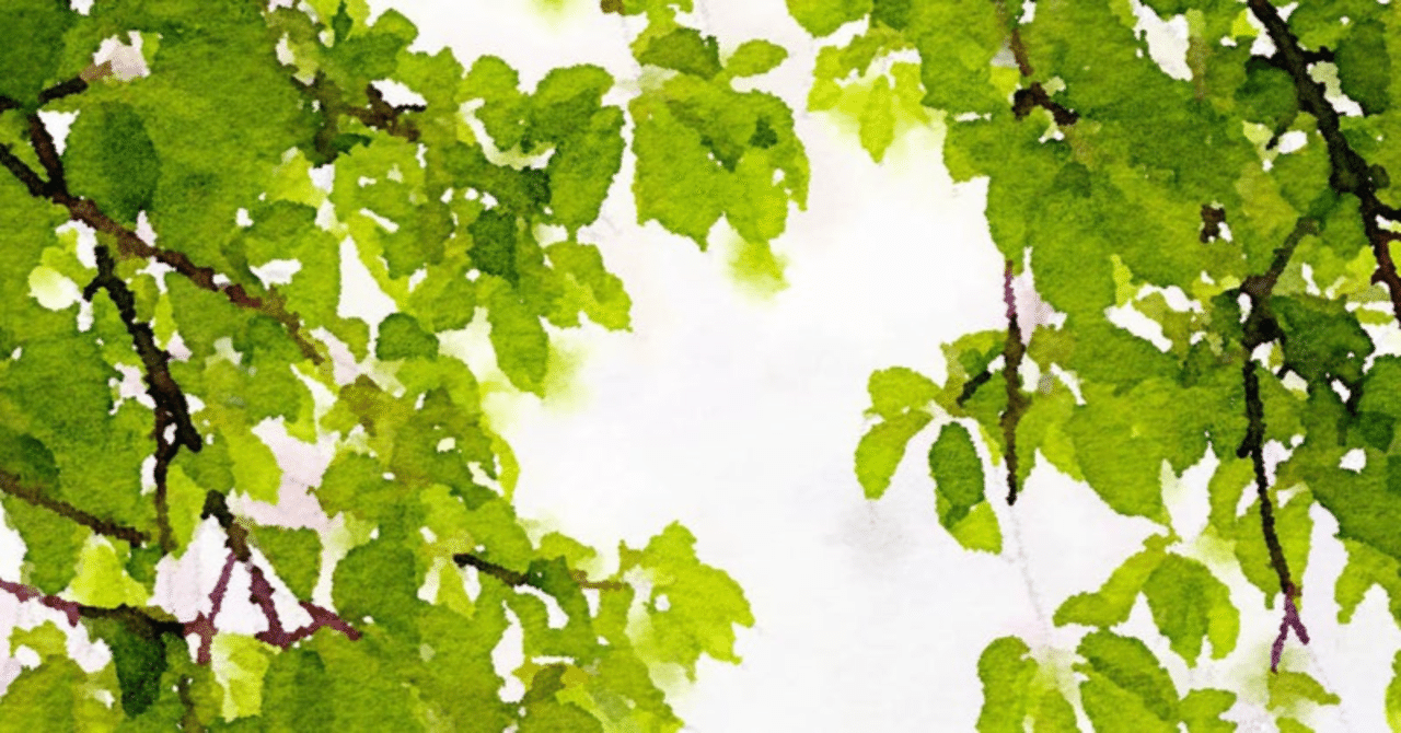 変化｜Michitake Matsui