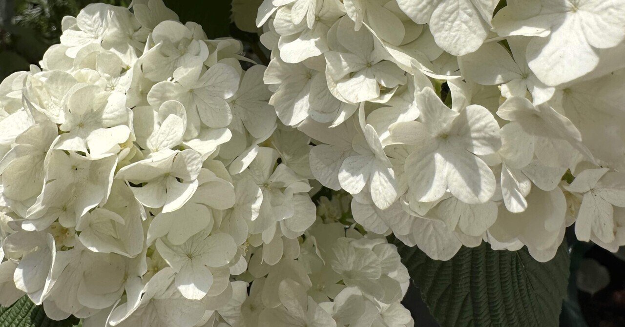 lifework 15｜YK_yukasagi