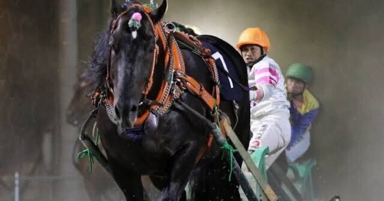 帯広10r 1925締切🔥無問題🔥｜帯広ばんえい競馬予想専門🧧極