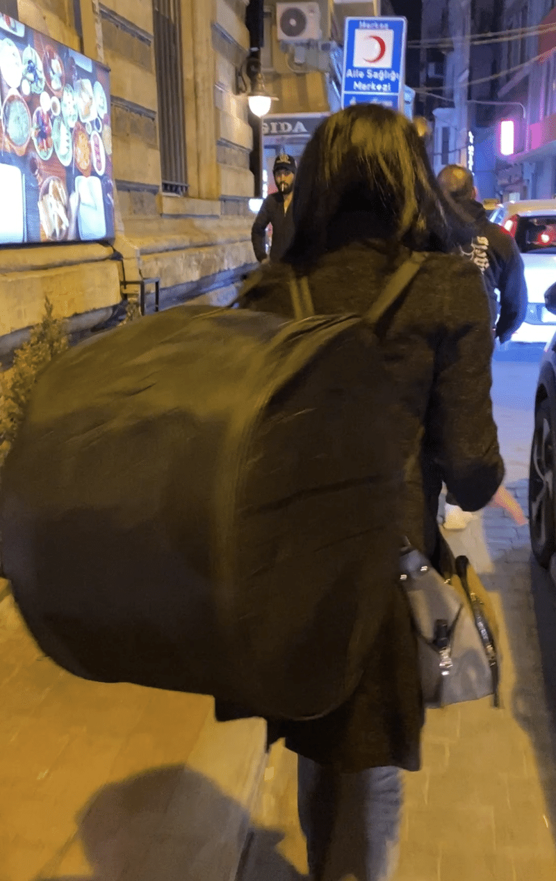 クルドダンスナイトとサヤインゲン2種｜Erika Ueda｜note