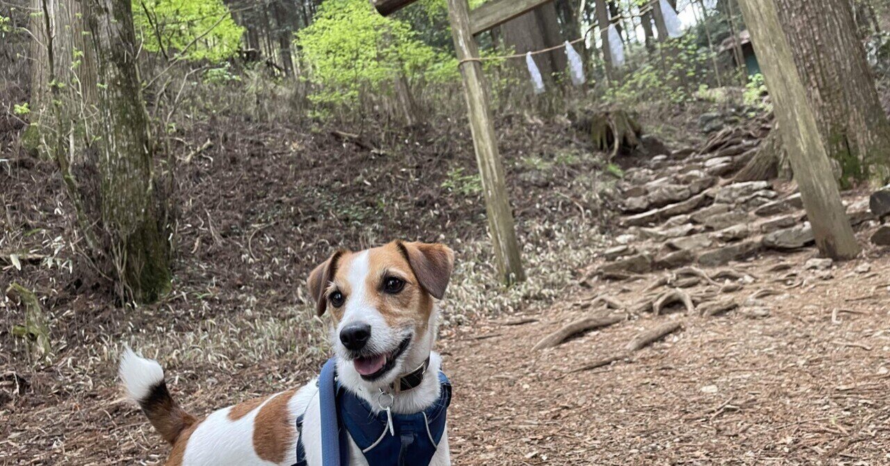 犬と大岳山｜Marino｜note