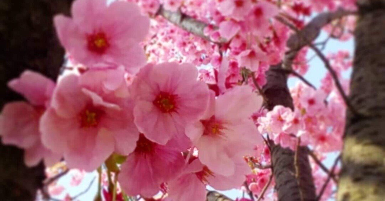 【lovely】｜七色アガサnanairo_agasa