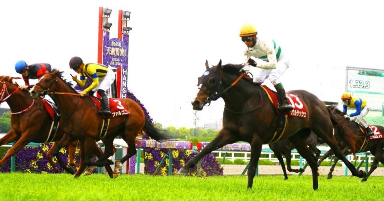 日曜日 中央競馬🏇｜deep