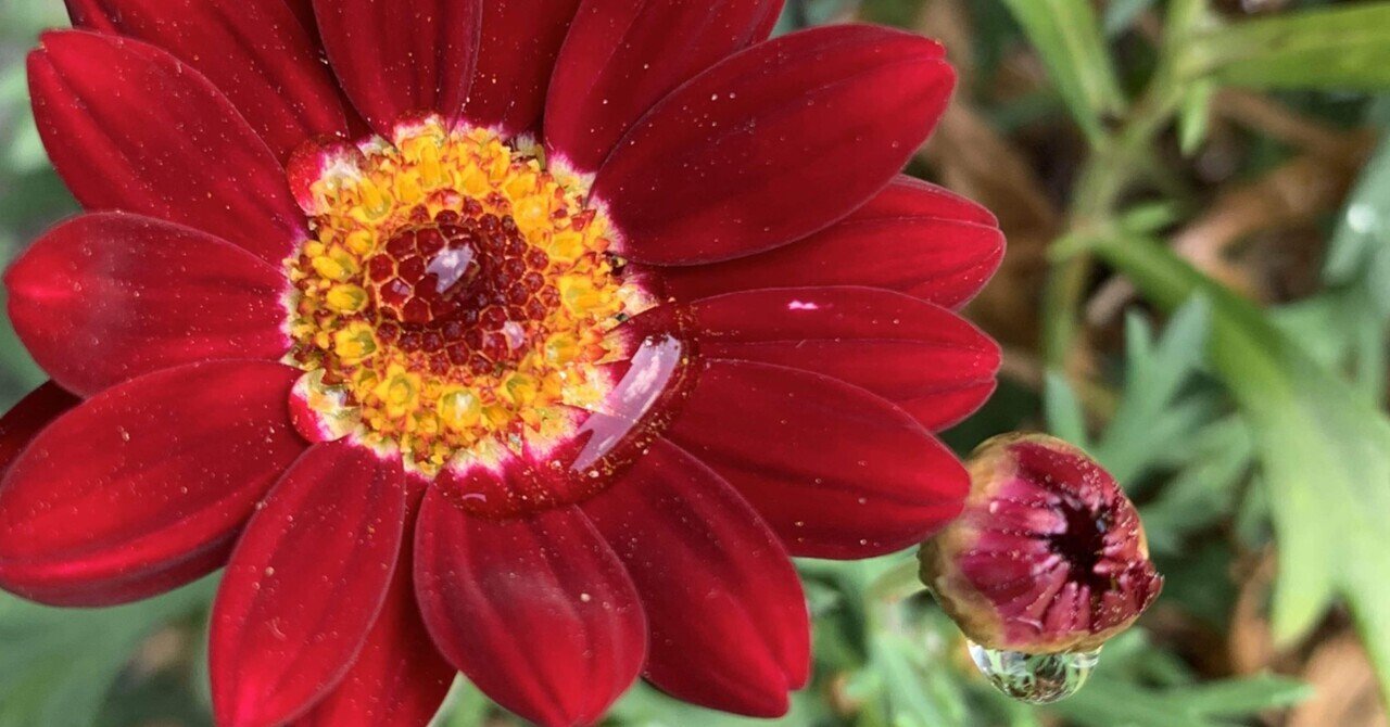 ホルモンと戯れる｜kyo☆ko