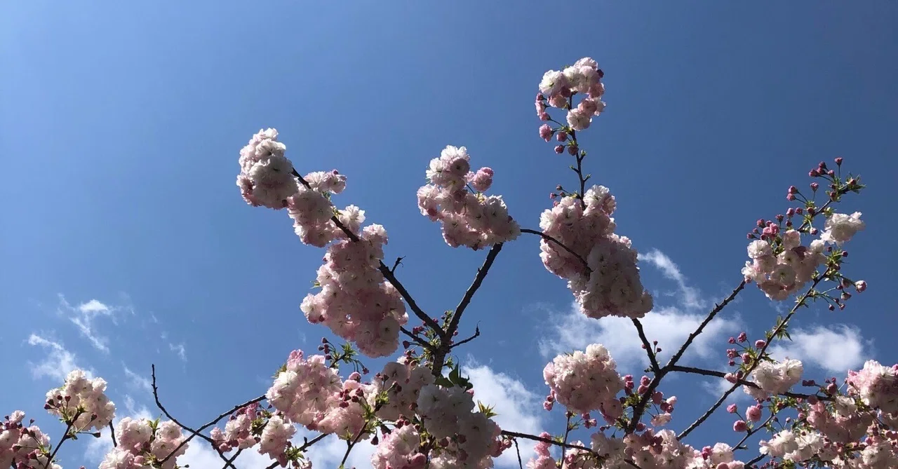 結婚できない話｜ksmsn