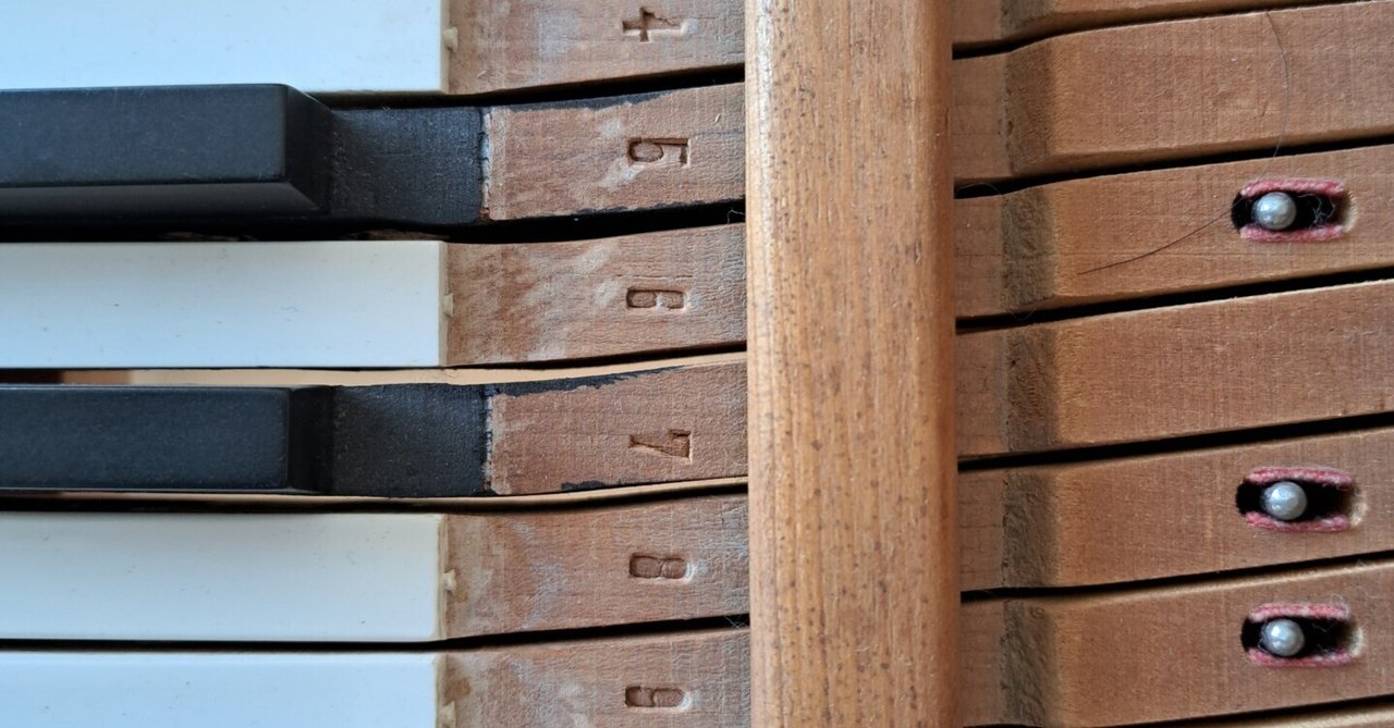 羊のメンテナンス｜Hiroko cleanse｜note