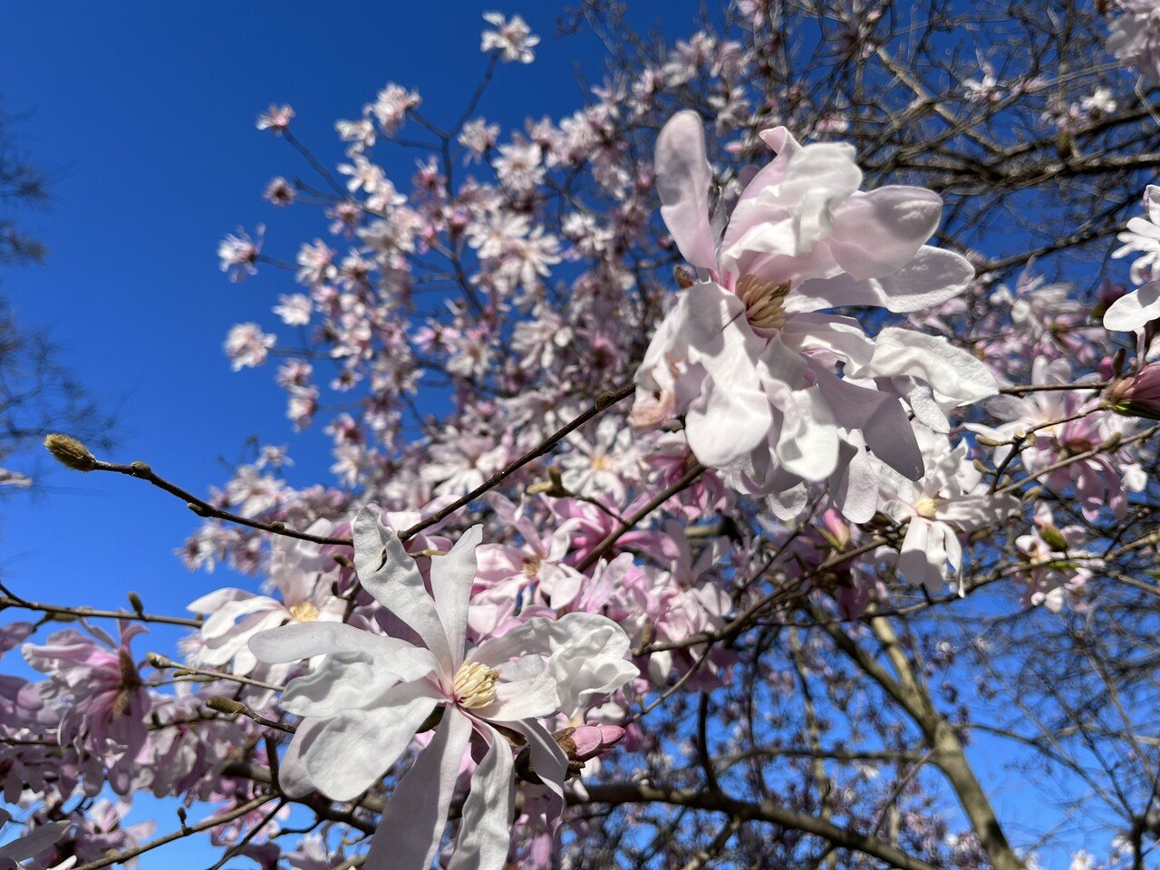 『忍耐とは自分の焦りを隠す技である』 ガイ・カワサキ氏の言葉 耐えるというのは、 じっと動かないのではなく、 動いていないように見えるように、 動くということである。｜Ryosuke ...