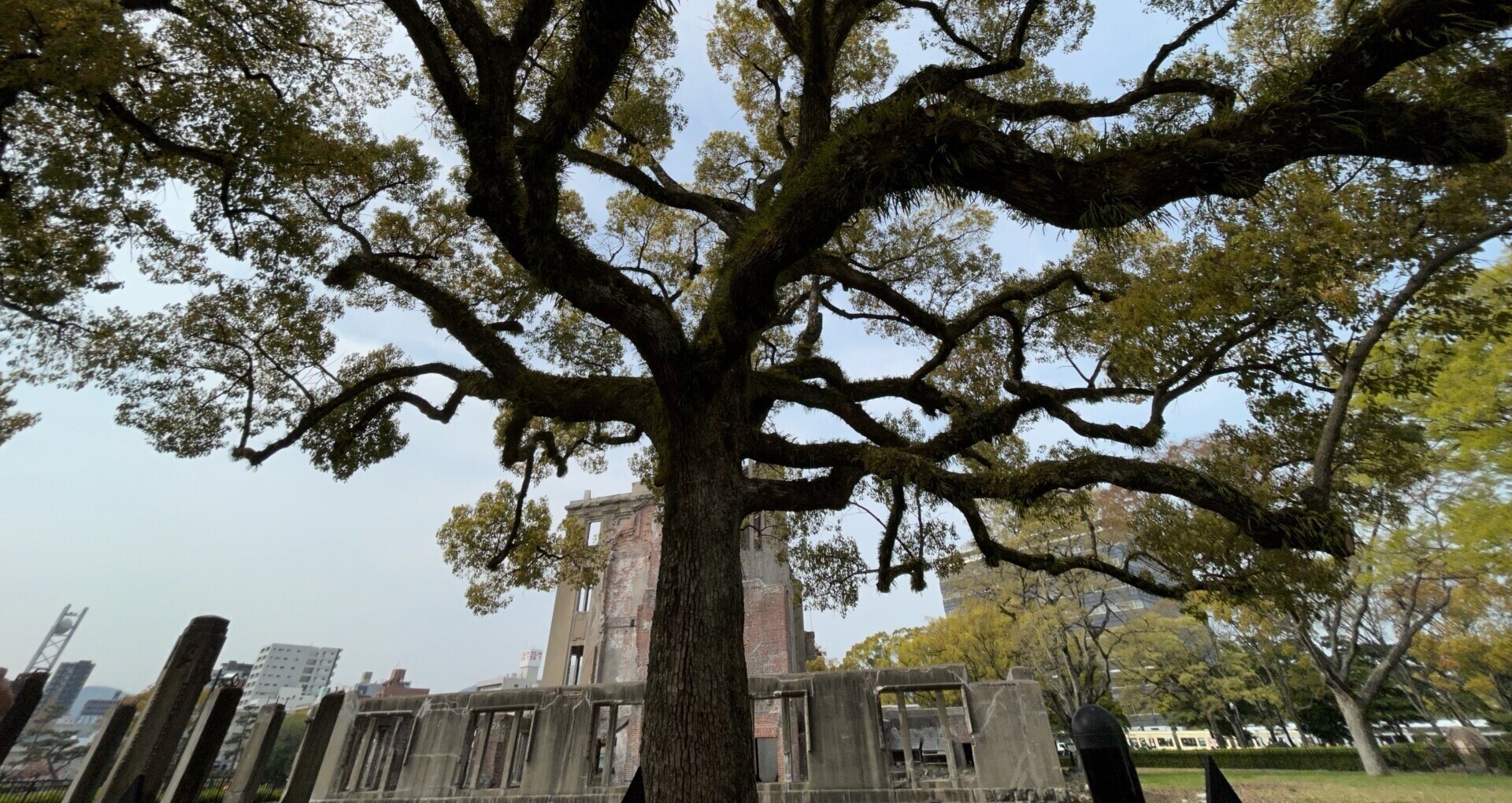 Noriko Maruyama｜note