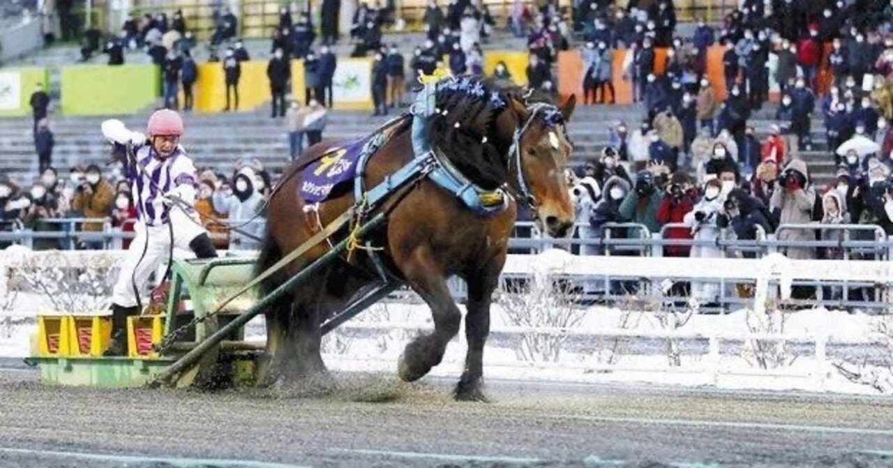 帯広5r 1653締切🔥帯広のスター🎯🔥🔥🔥｜帯広ばんえい競馬予想専門🧧極