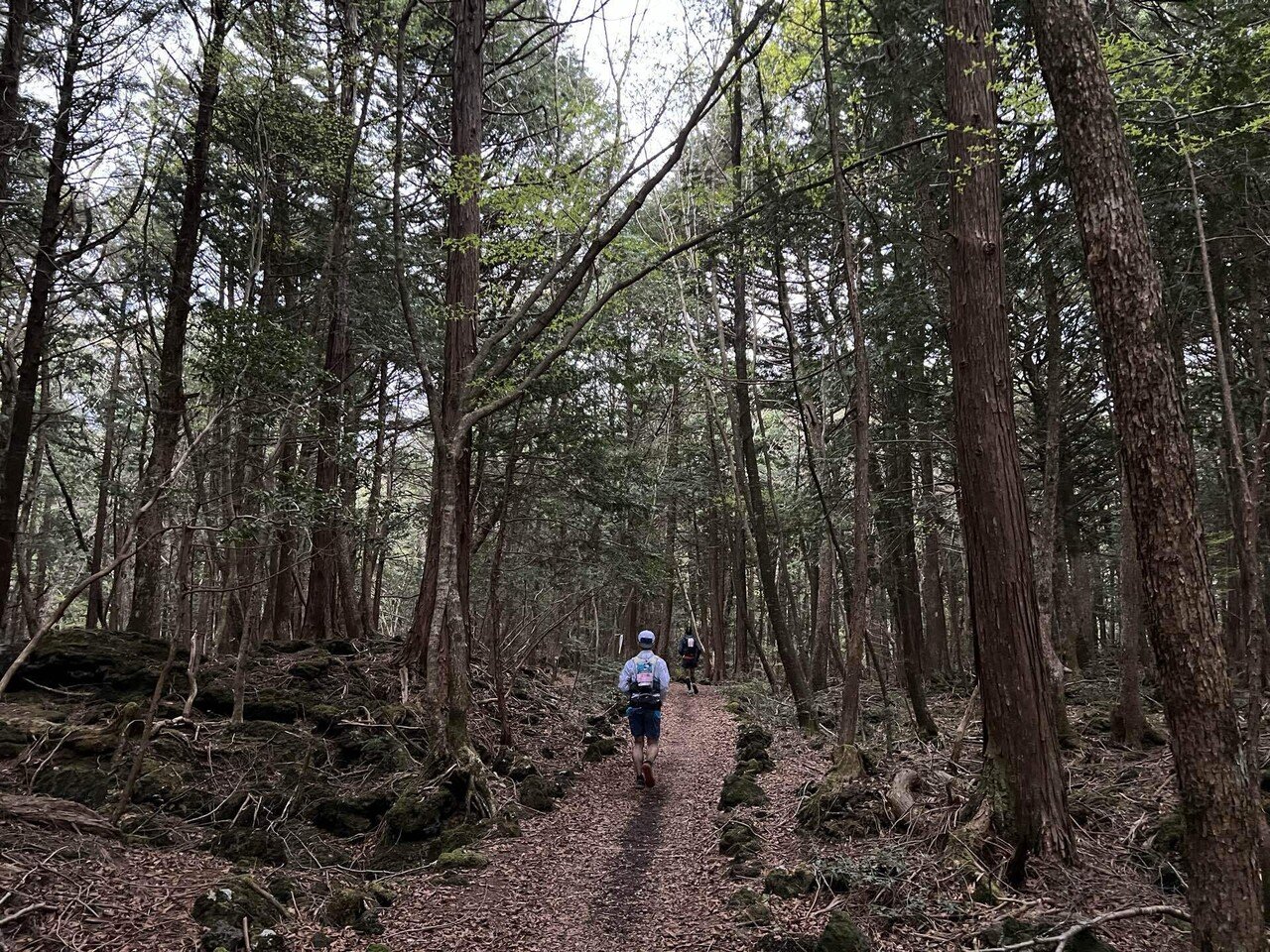 ウルトラ・トレイル・マウントフジ（UTMF/FUJI）完走記｜佐藤謙介（「交換の大原則」研究）