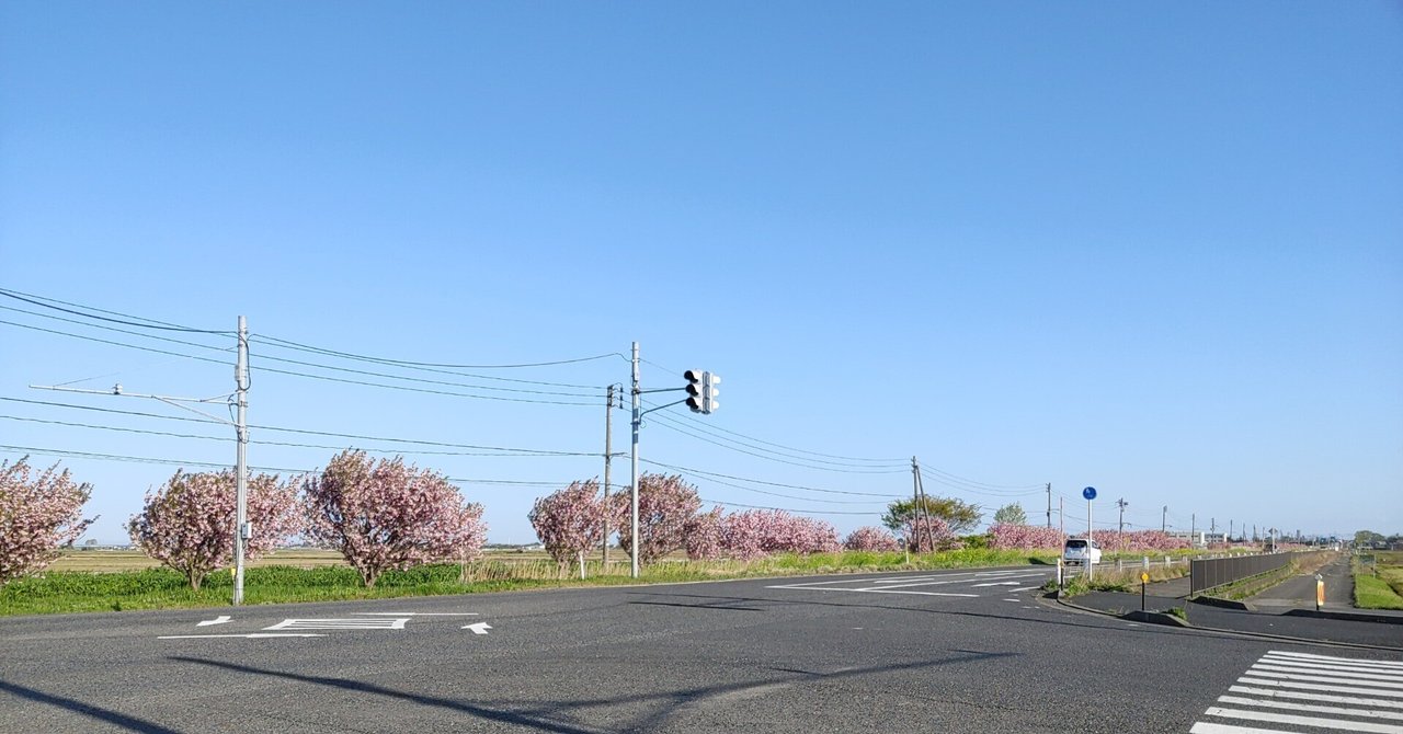 【ランニング日記】もうすぐ田植え｜kao