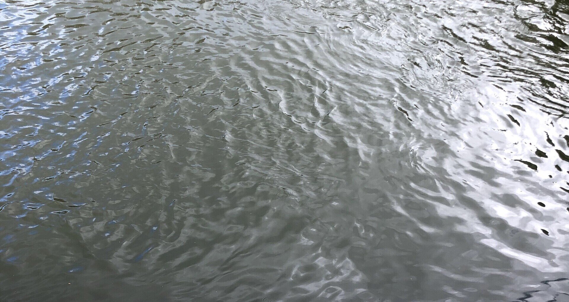 yu_yoshida_shark｜note