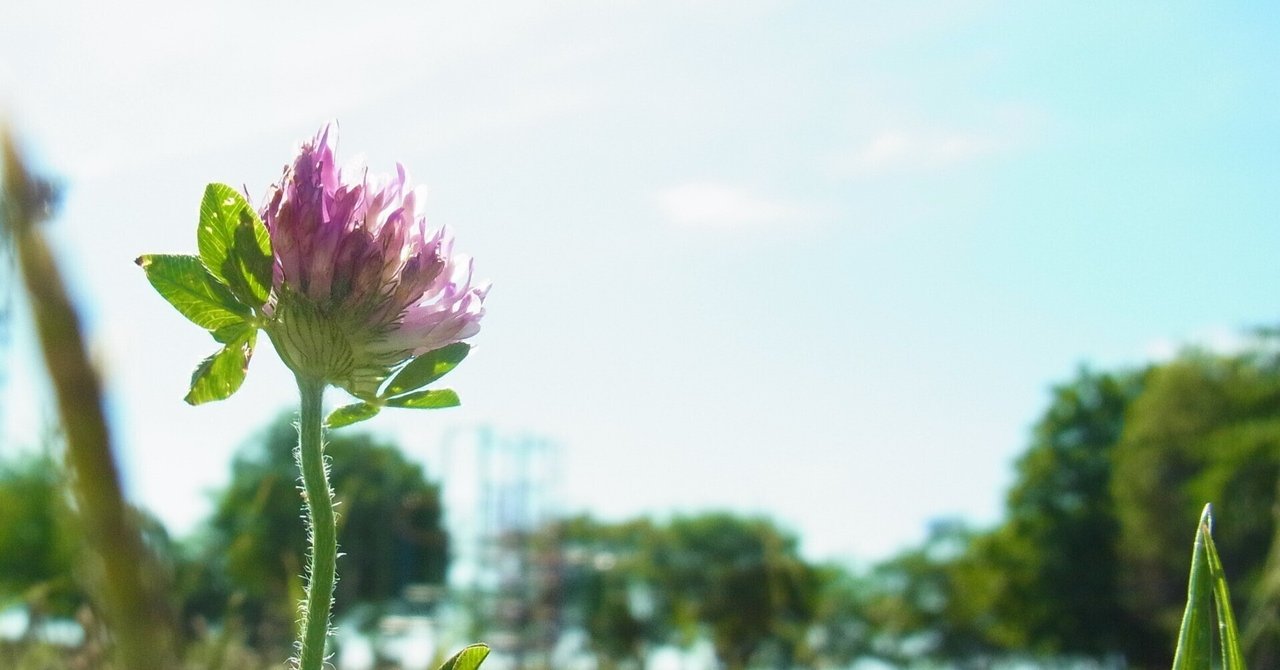 奇跡講座WB実践294 私の肉体は、完全に中庸なものである｜(Linp&Ruru)本当の自分を知り、本当の自分として生きる