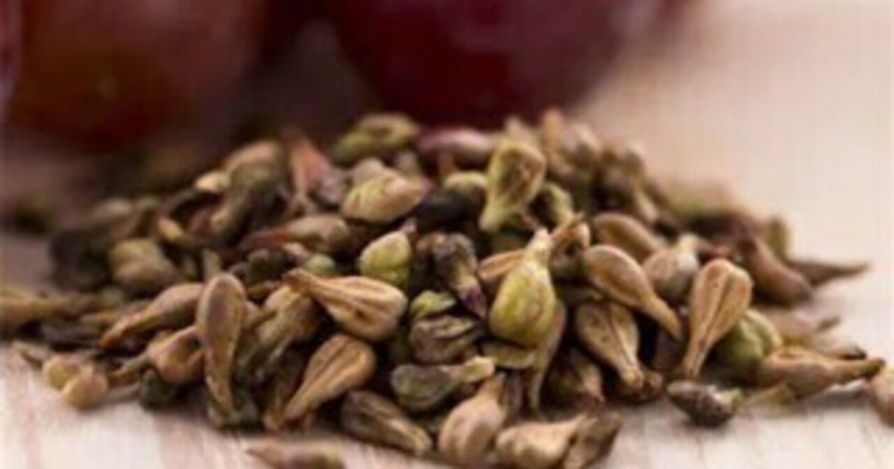 Grape Seed Extract｜ACEBiotechnology｜note