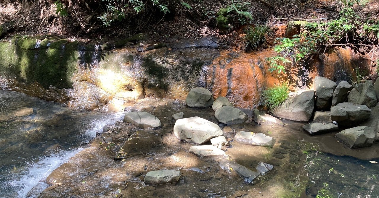 いろめがね。｜湊谷翔-Minatoya Kakeru-