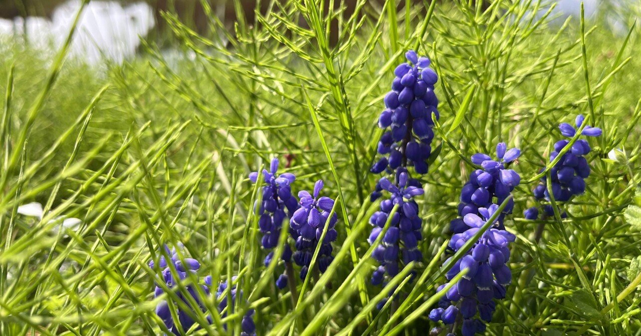 No.102 姿勢が行動に出る｜Masa｜note