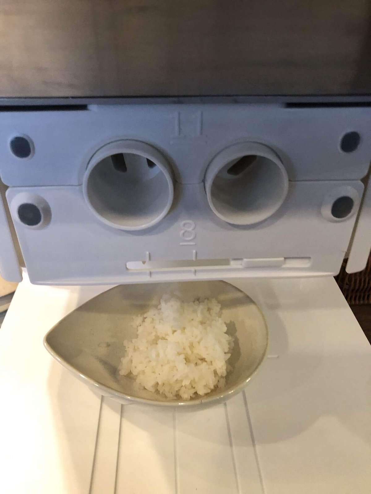 お堀の白鳥｜アレキサンドライト⭐︎アマノコトネ