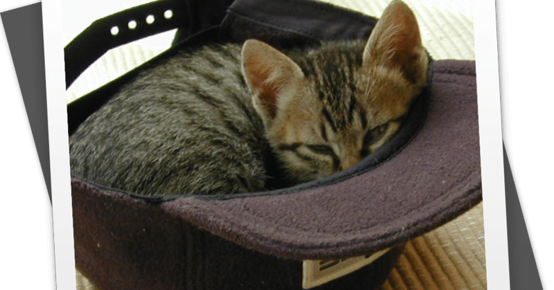 シン・TWSNMPへの道：Wails v3のgenerate bindingsで悩む｜twsnmp