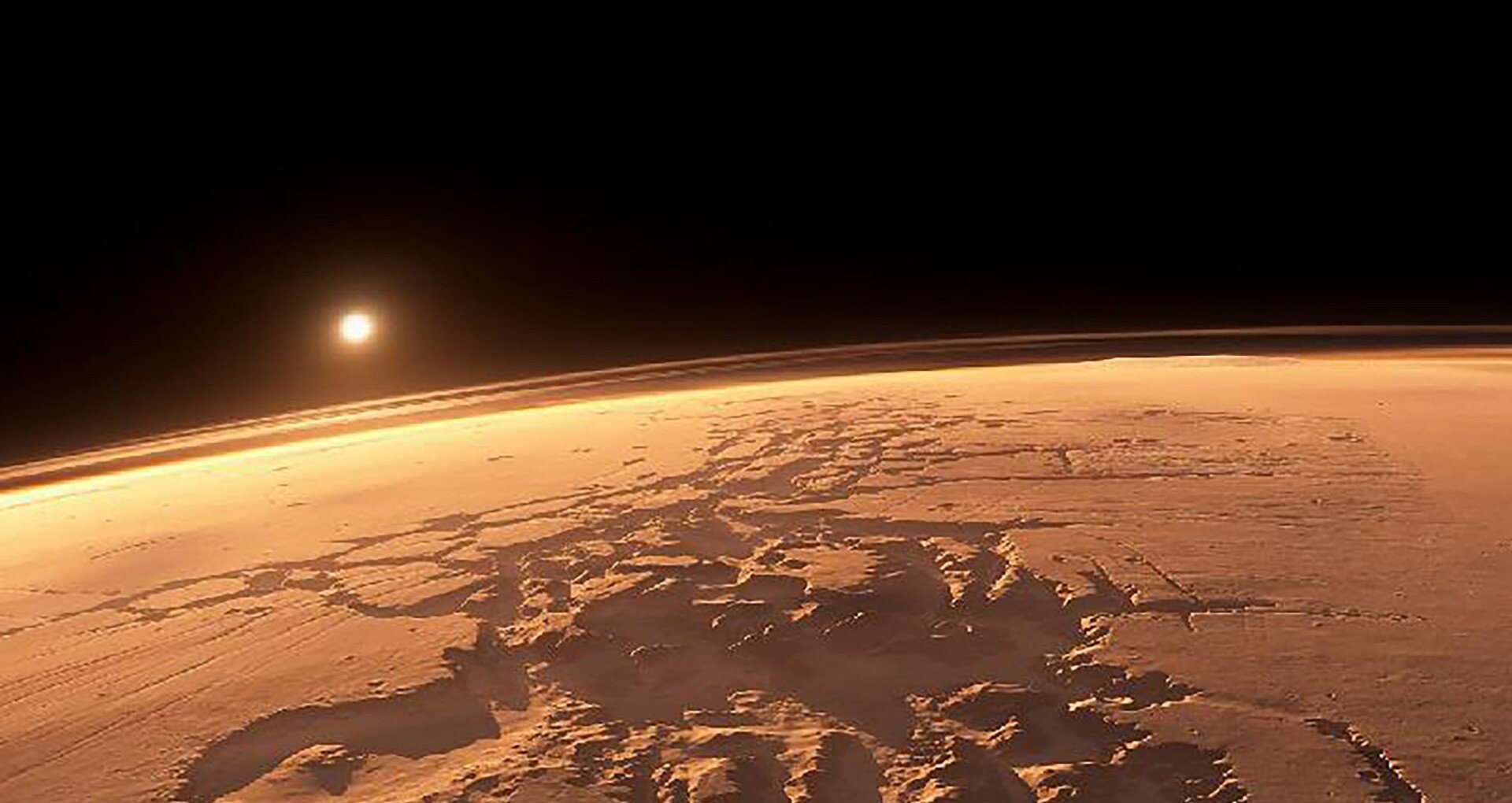 人類の知の最前線｜Ty Hassy｜note