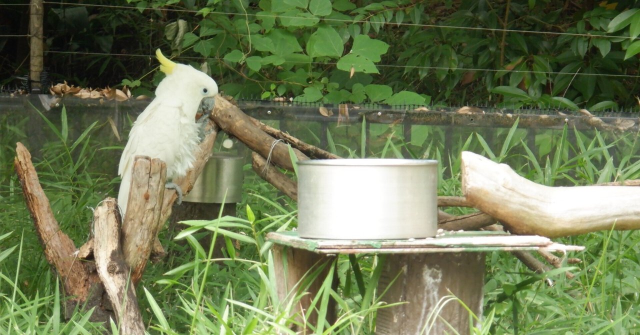 20230426｜斜｜note