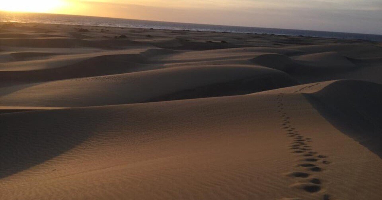 自己紹介｜liena