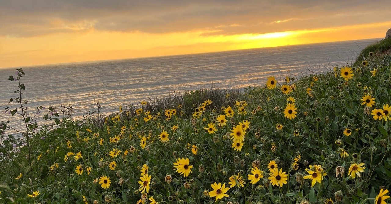 エネルギーは海も時空も超える｜tomoko(LA在住）｜note