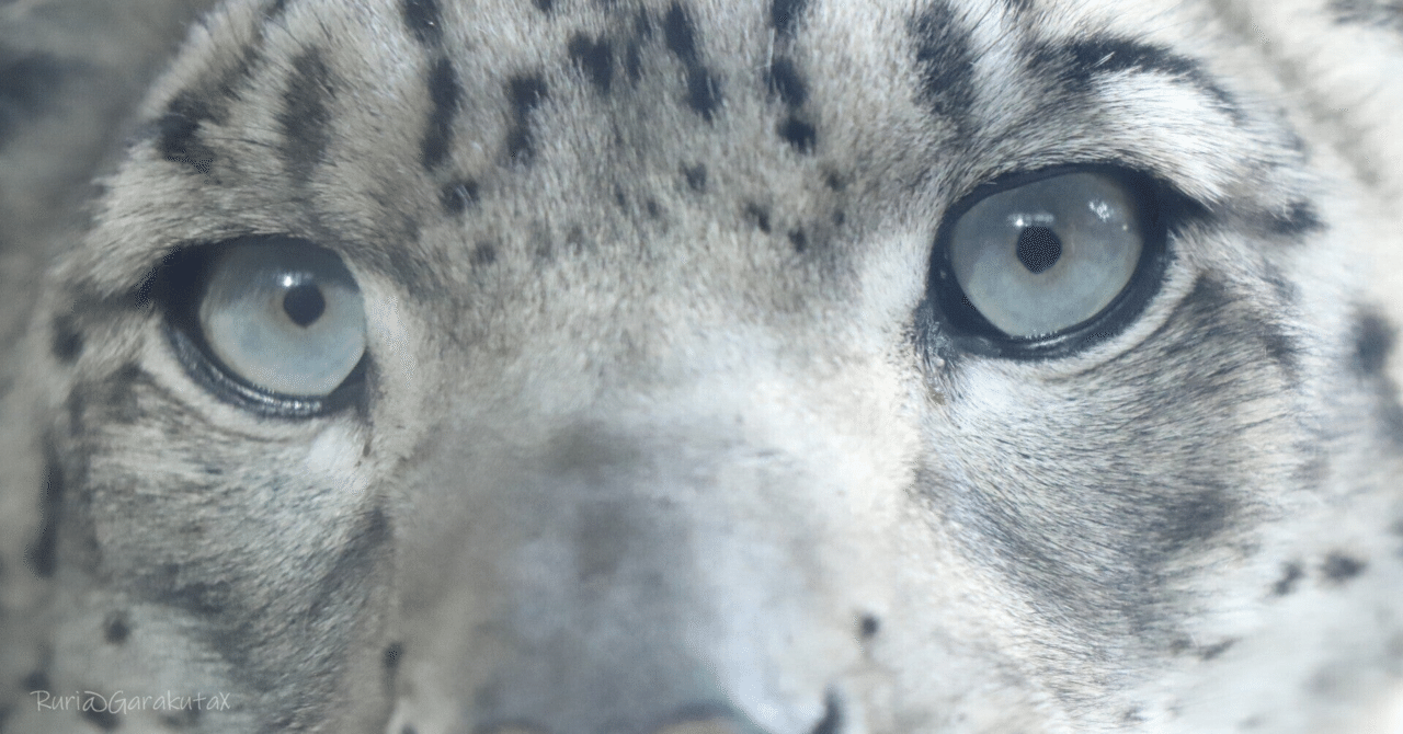 【仕事術】1番大切なこと｜AN(元base_azu)@合同会社Ray Career代表