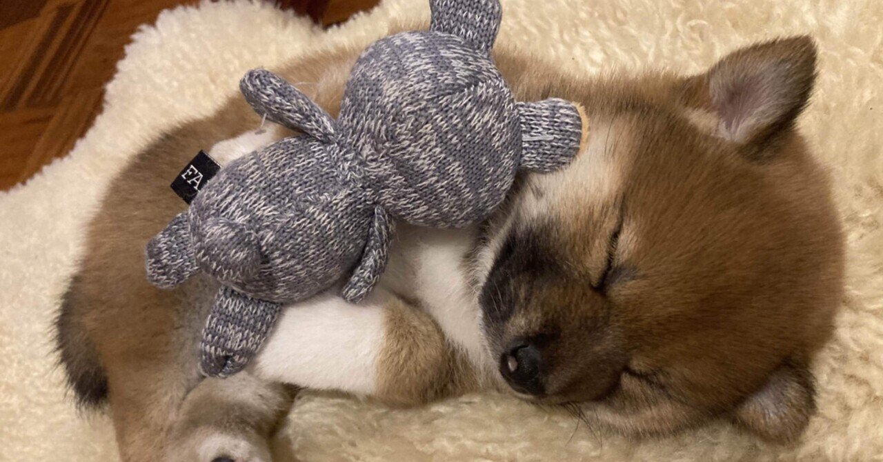 こなつチャンネル(31) お気に入りオモチャ特別編｜NicePapa 平野 尚志