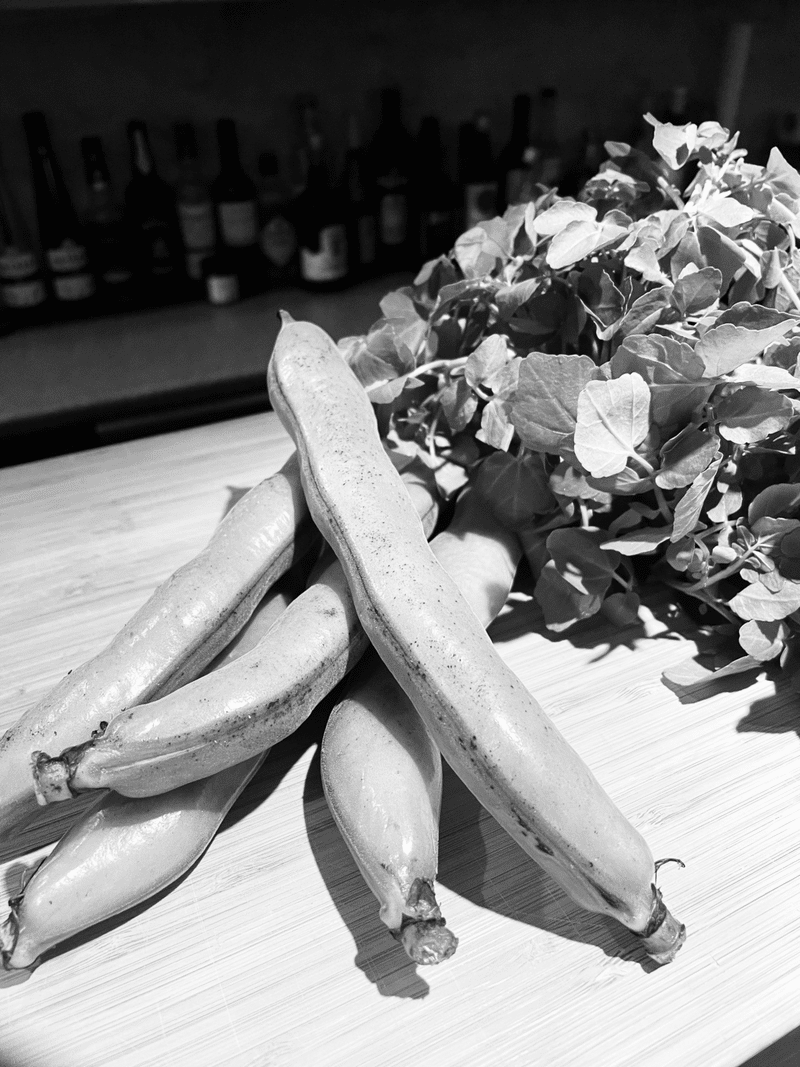 Dining Wada通信15｜シェフ和田｜note