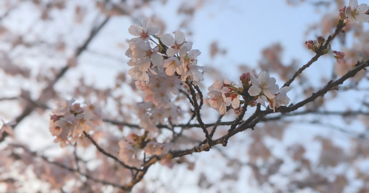 🎯直近的中結果報告 🎯4月15日～最新 トータル的中結果報告（随時更新）｜競艇ol🌸ami｜note