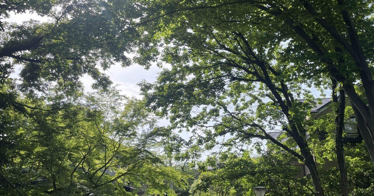 ふわふわ｜ピックザカンクルー｜note