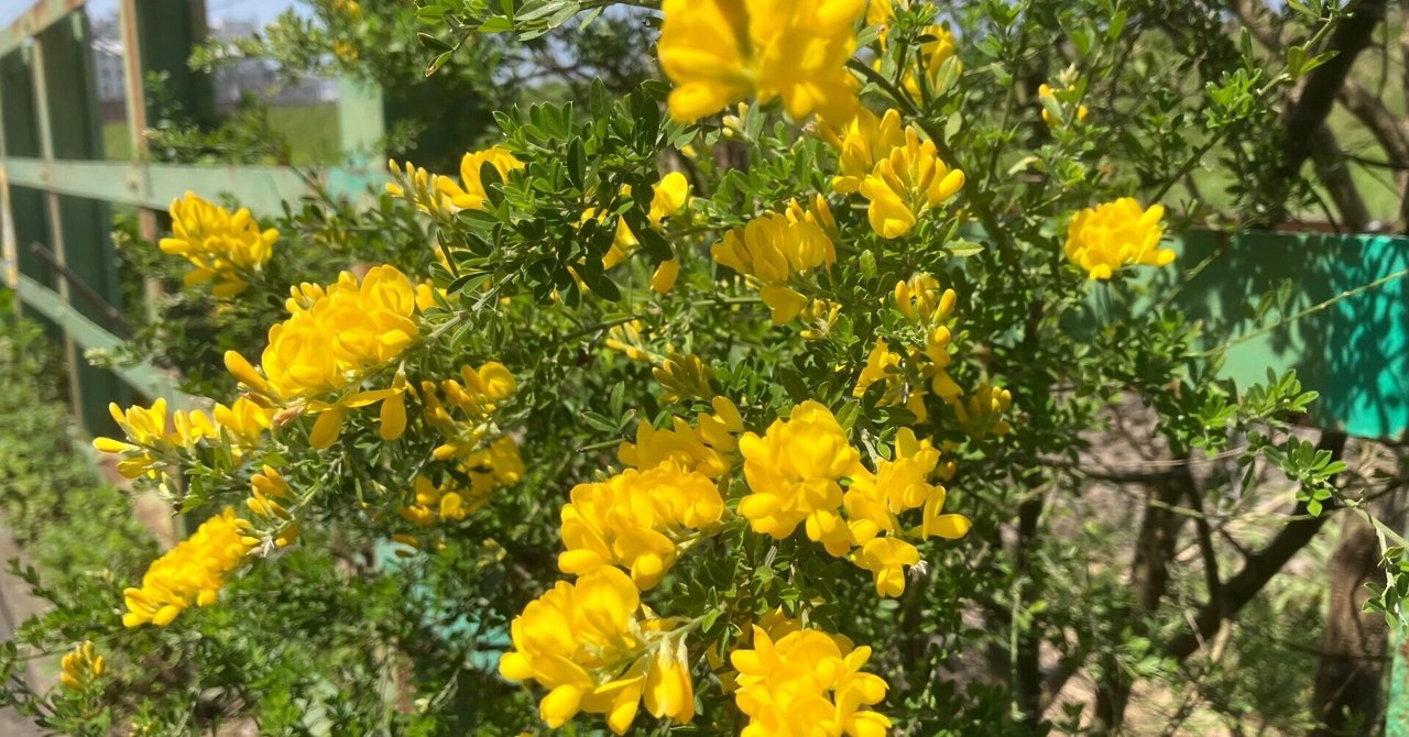 ふと・・・思う｜poporin