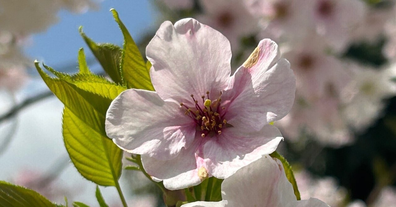 【月刊おすすめ本2023年4月編】今月読んで面白かった本。｜読書セレクション@yutaro｜note