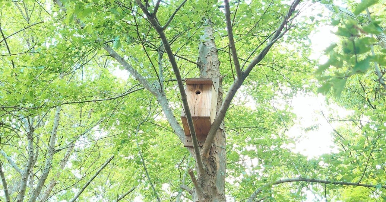 ＊実家から歩いて1分、大好きな公園。｜sola.｜note