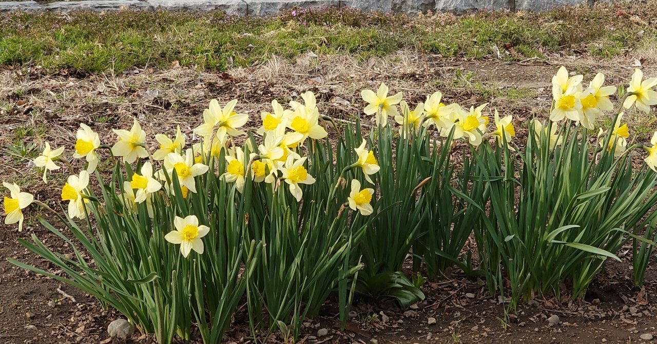 note100日目🎉｜tabito