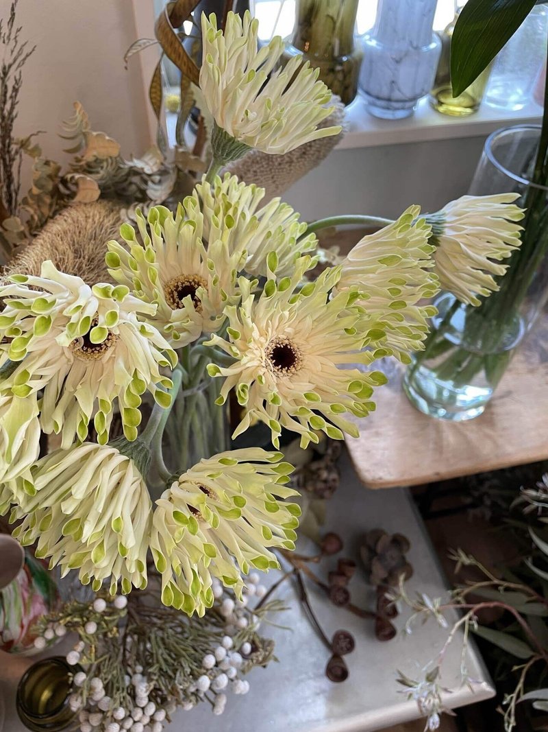 はながすきすぎる 高嶺の花｜花屋KONOHA｜note