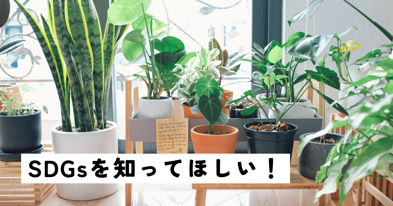 SEGsを知ってほしい！｜酒種酵母オンラインパン教室｜ふみのお家パン｜横浜