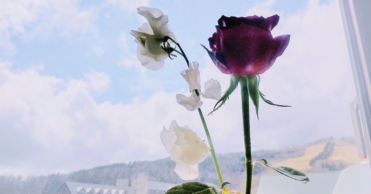 目を閉じて、今自分に何がしたと聞いてあげて、やらせてあげること｜Koichi Ono｜note