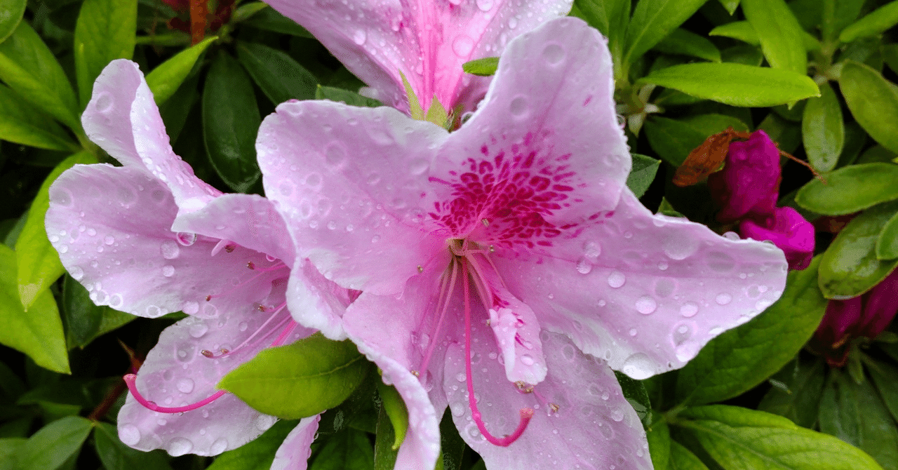 zorin hdd install capture figure｜blue06_2022｜note