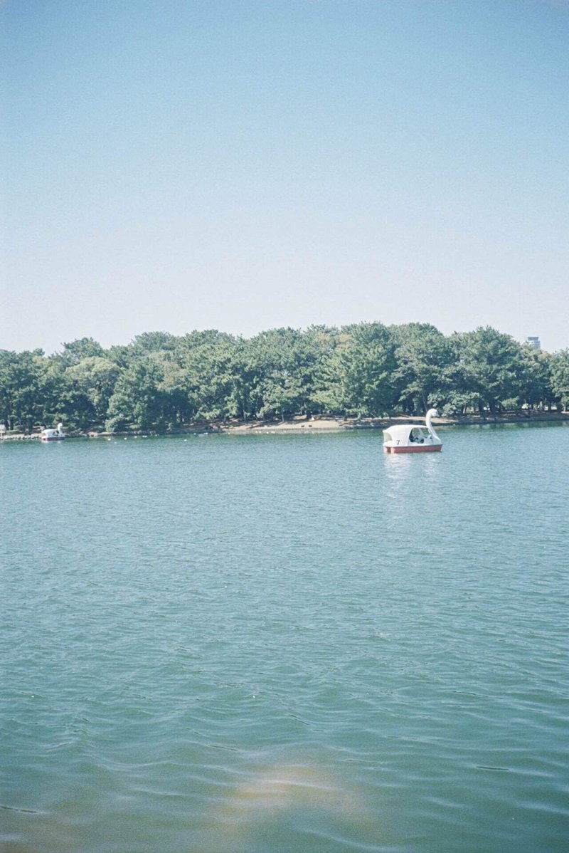 YASHICA AUTO FOCUS🧘｜Shotaro Kusaka