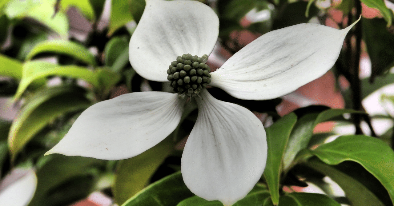 チームの為に｜Toshiki｜note