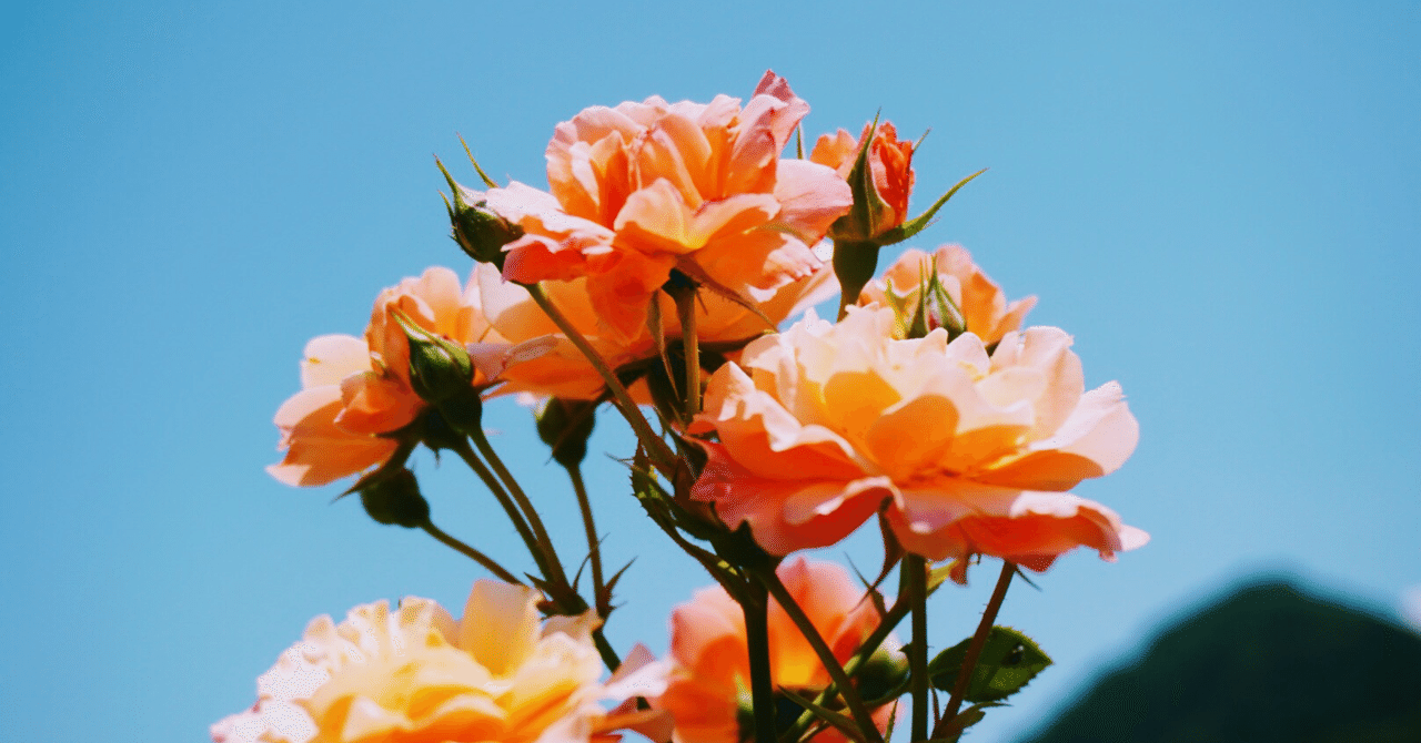 GWの過ごし方｜SHIGE姐さん（守屋SHIGE美）